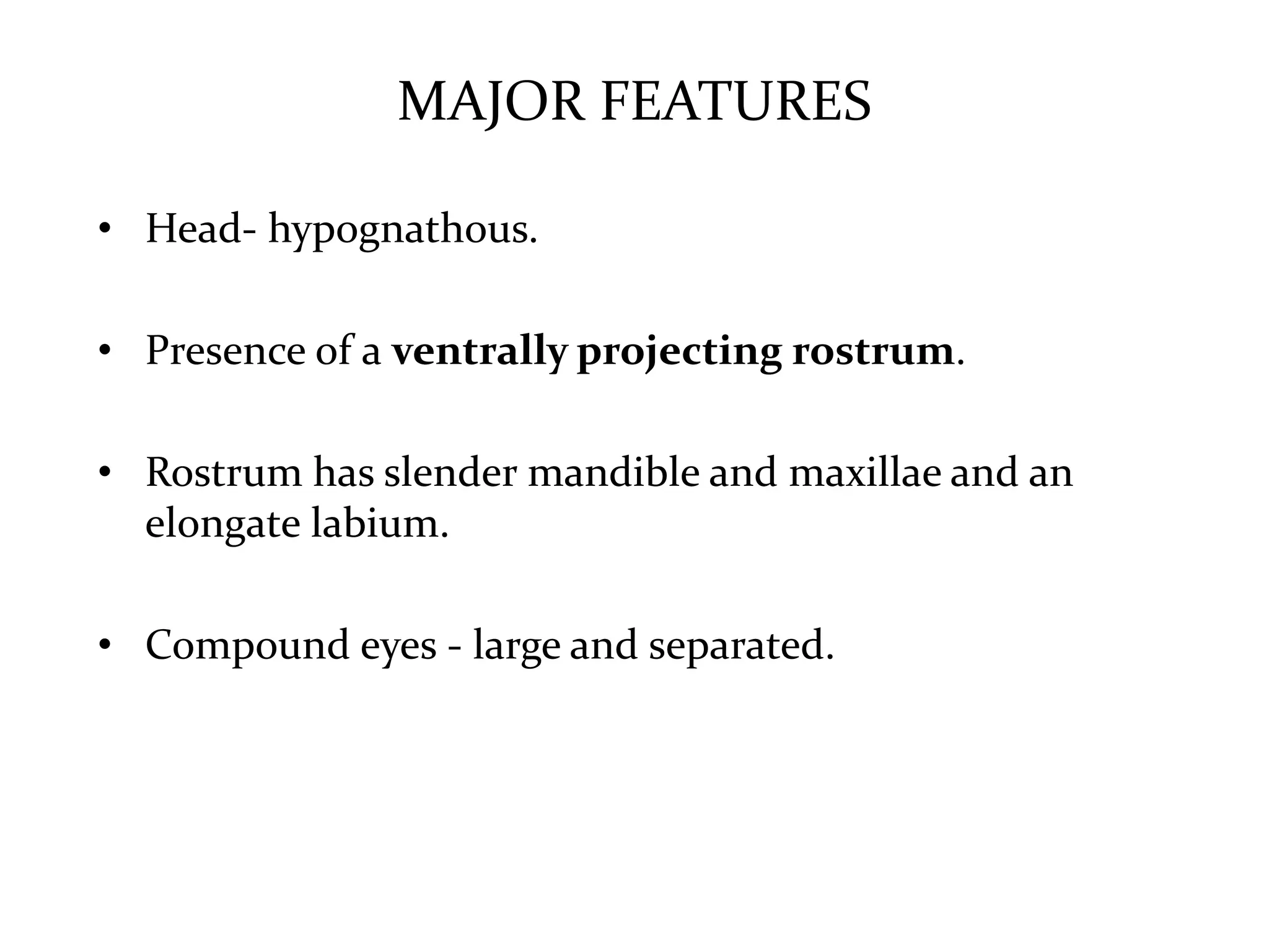 Classification of insects | PPTX