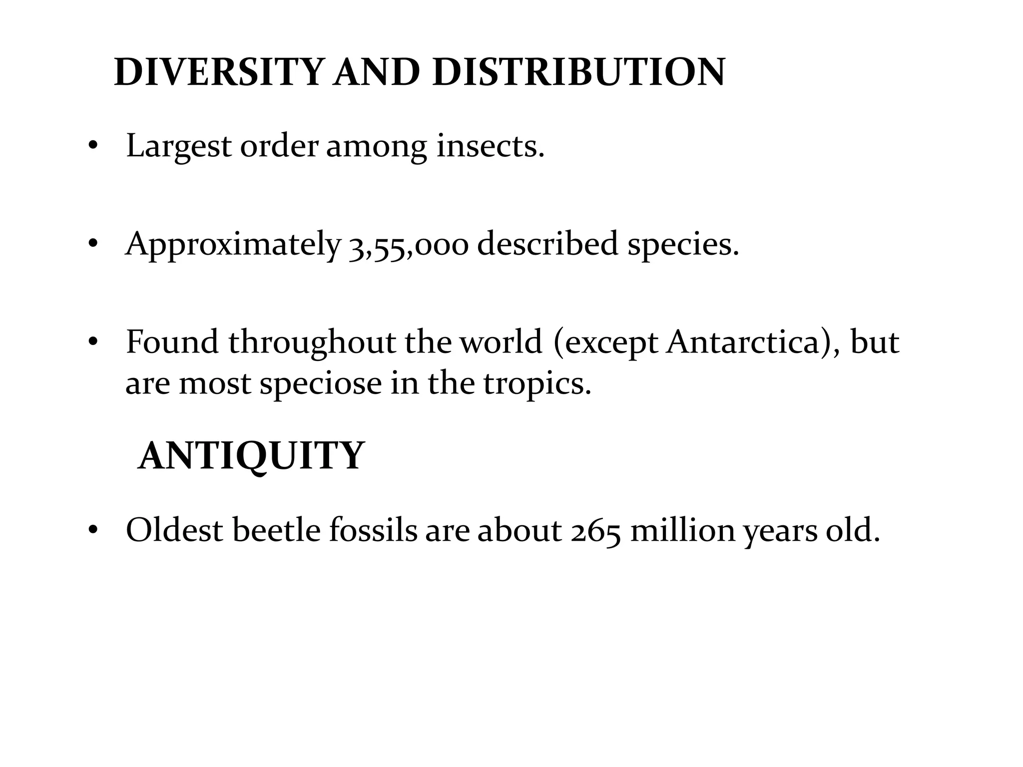 Classification of insects | PPTX