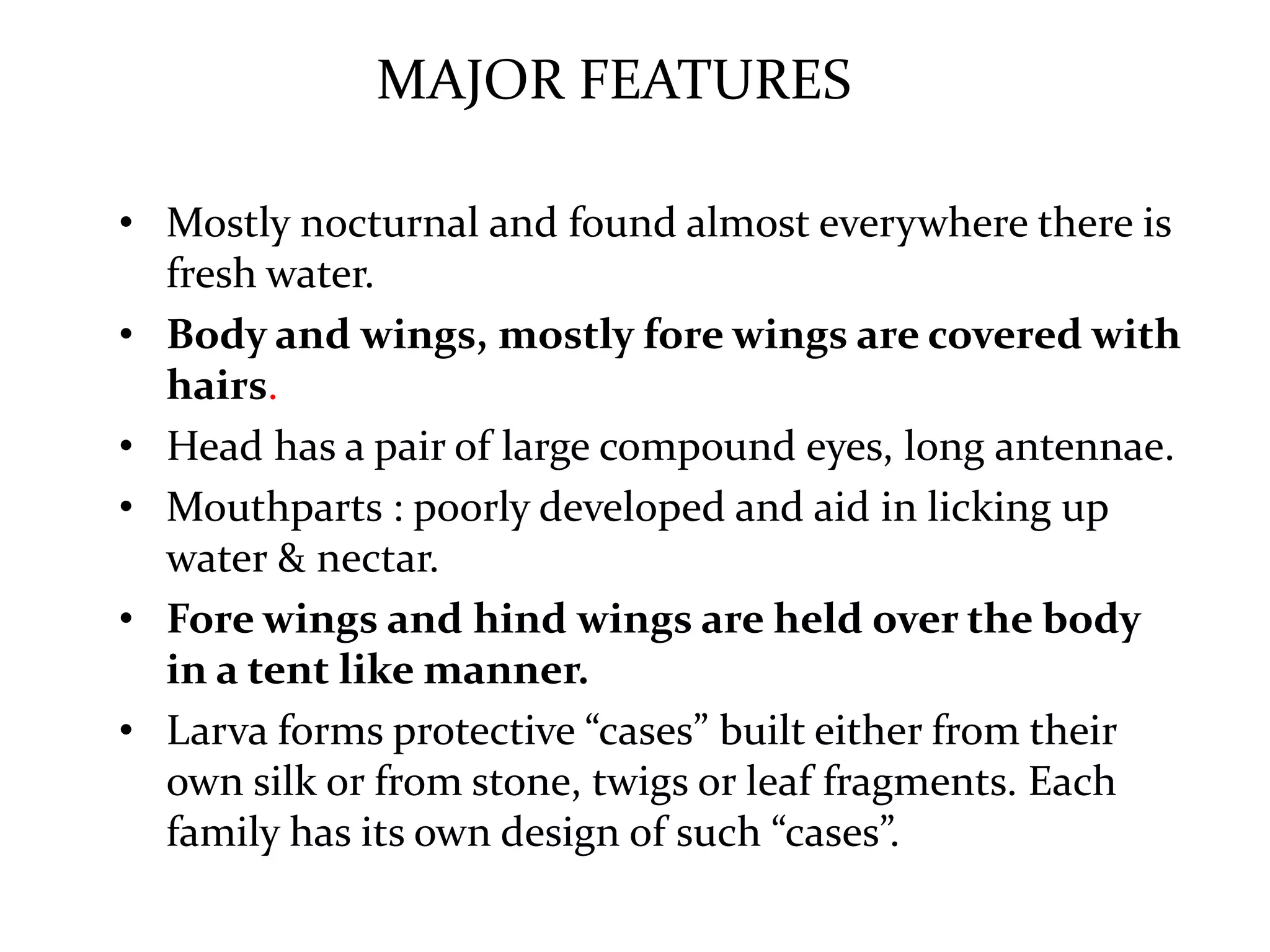 Classification of insects | PPTX