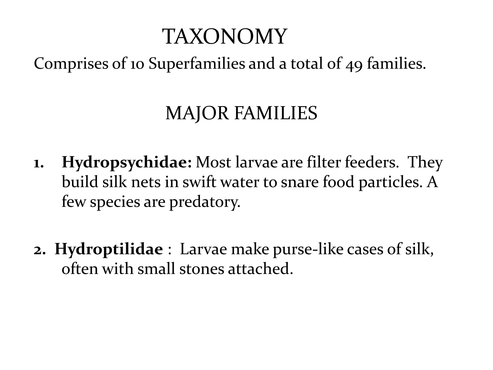 Classification of insects | PPTX