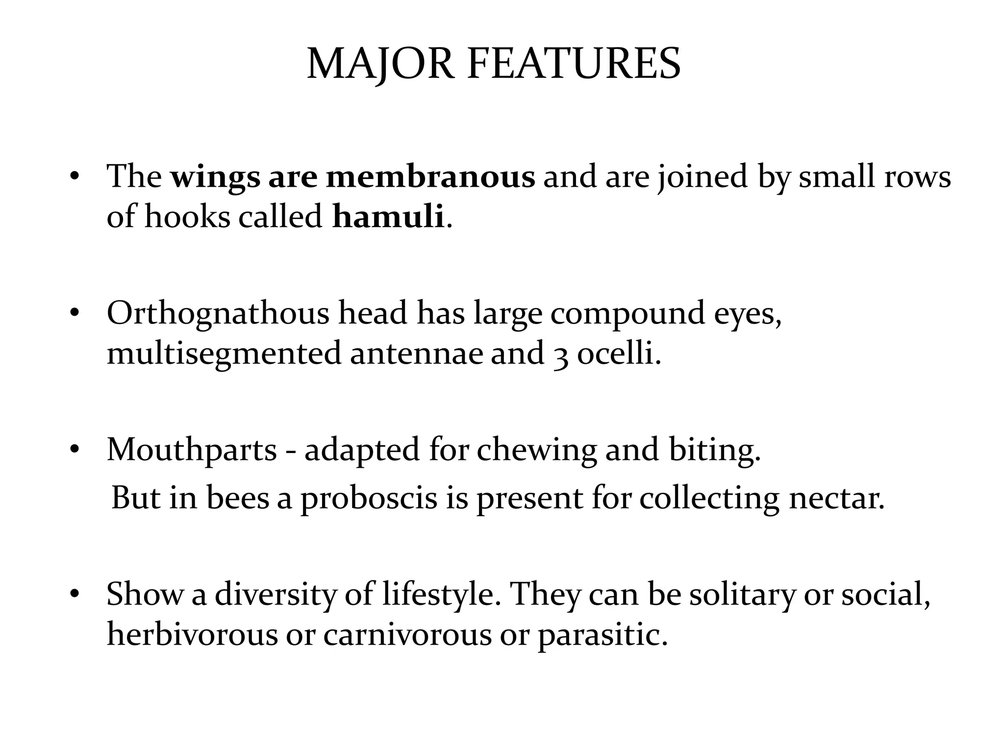 Classification of insects | PPTX