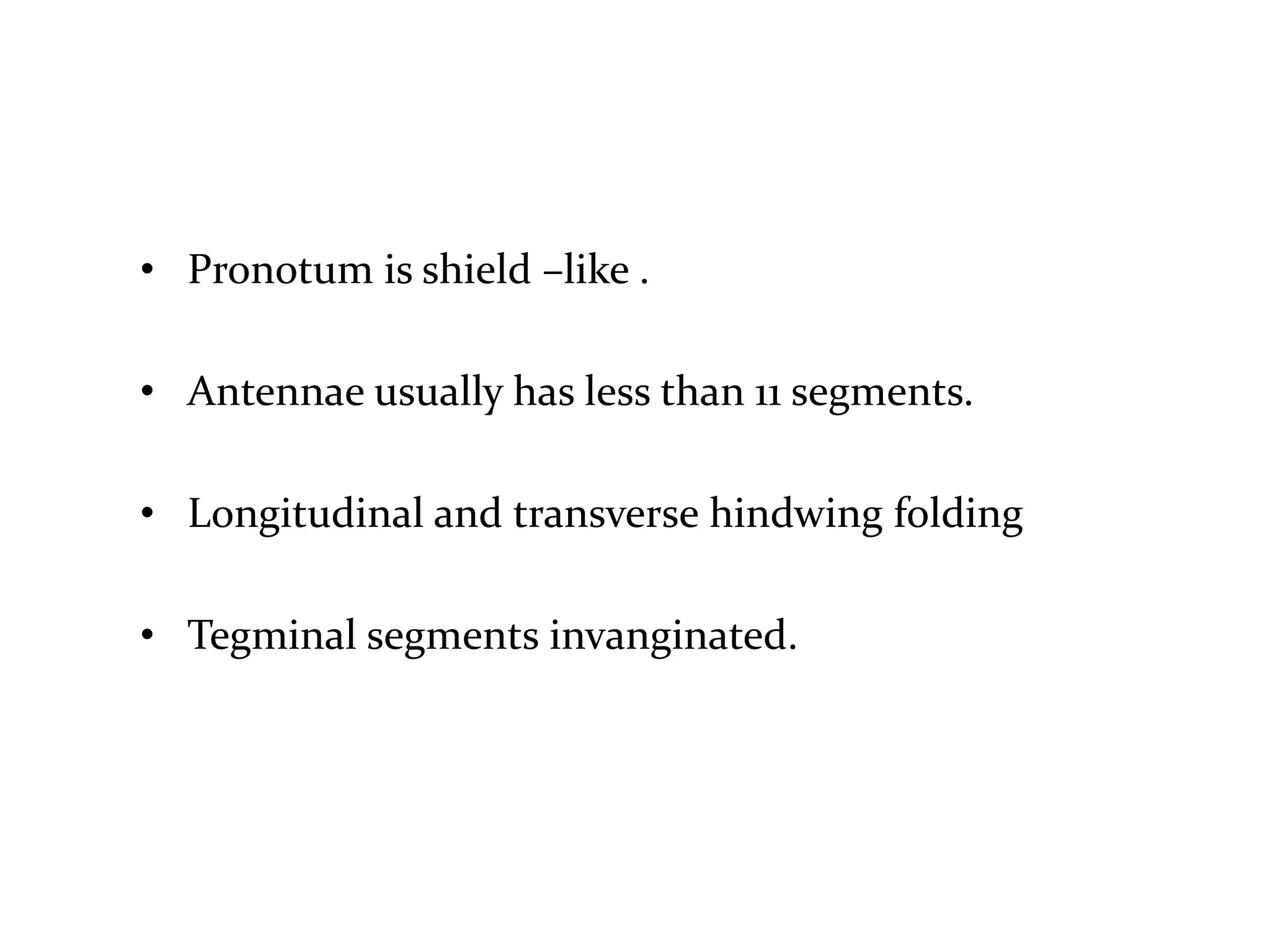 Classification of insects | PPTX