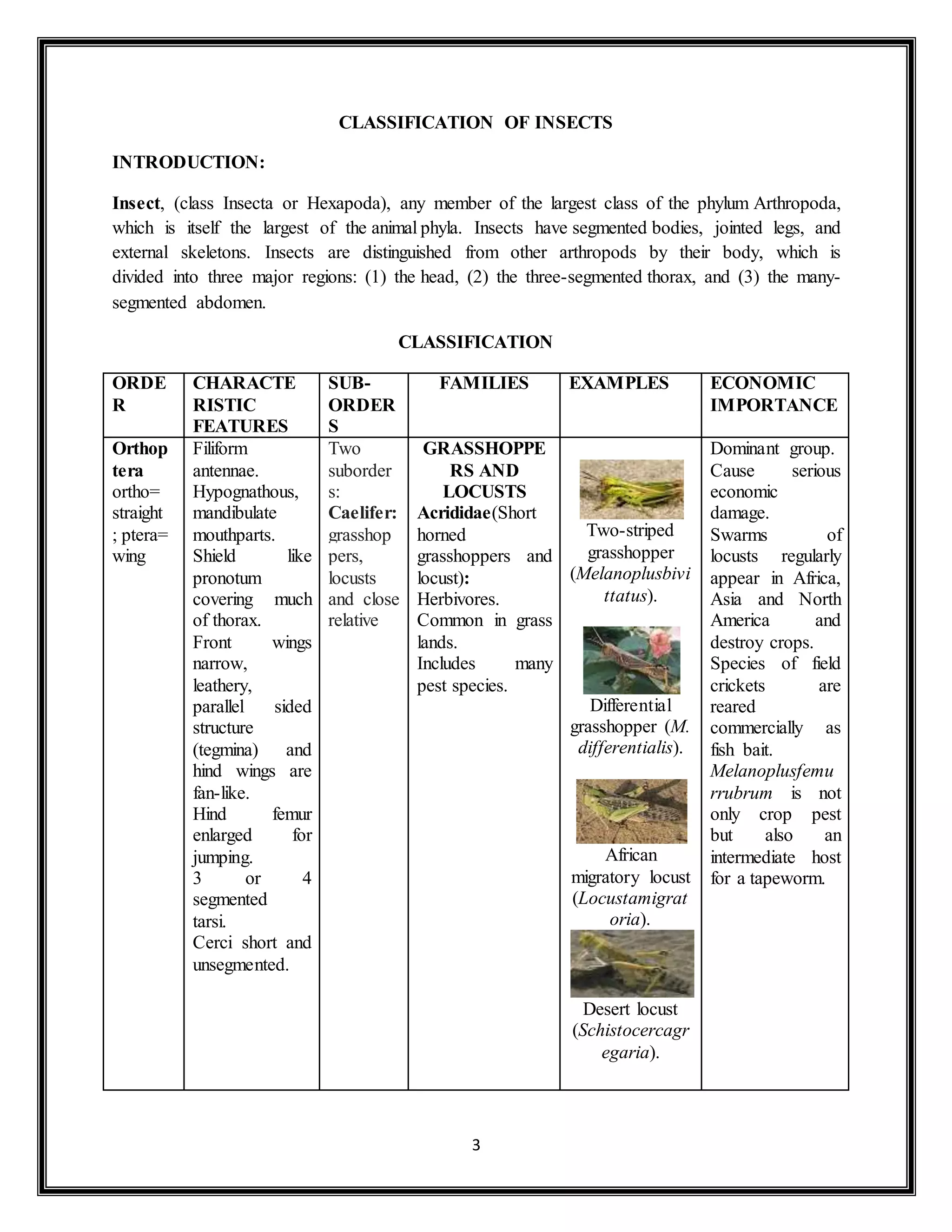 Classification of insects assignment | DOCX