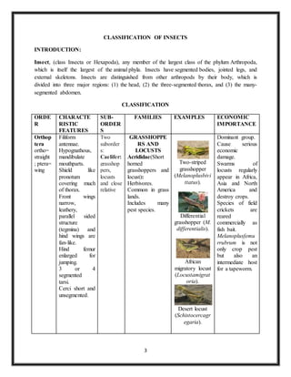 Classification of insects assignment | DOCX