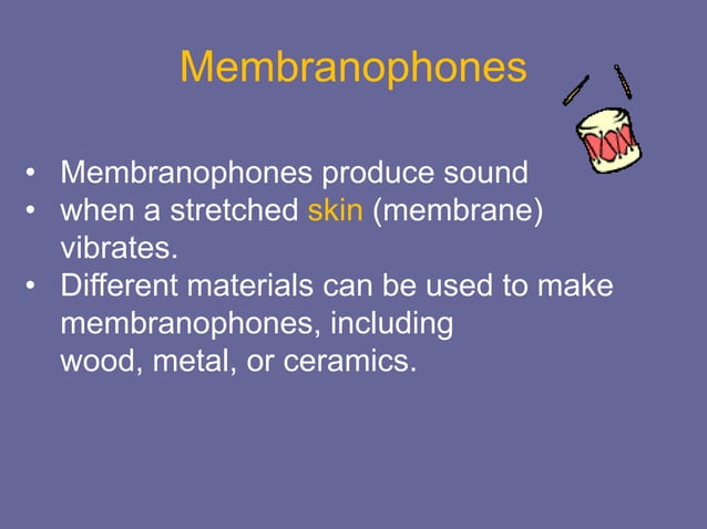 Classification of instruments | PPT