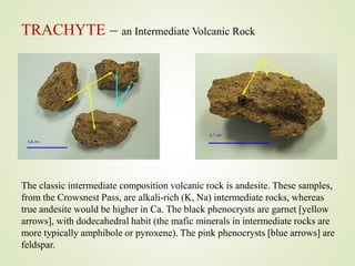 Classification of igneous rocks | PDF