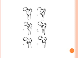 CLASSIFICATION OF IT-u2.pptx