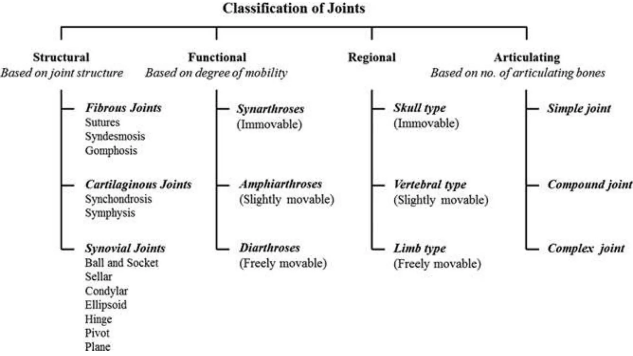 Classification of joint | PPTX