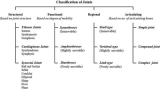 Classification of joint | PPTX