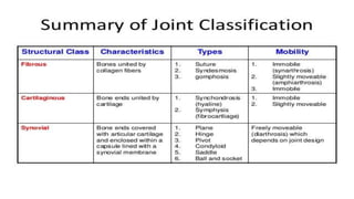 Classification of joint | PPTX
