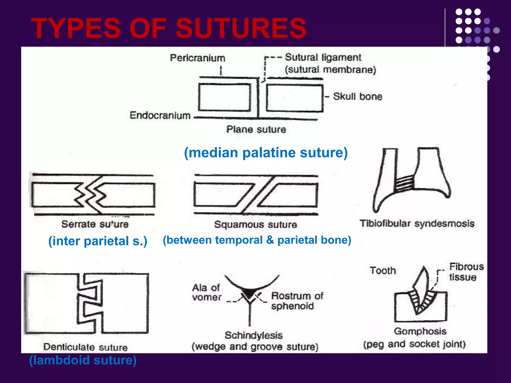 anatomy of joints | PPT