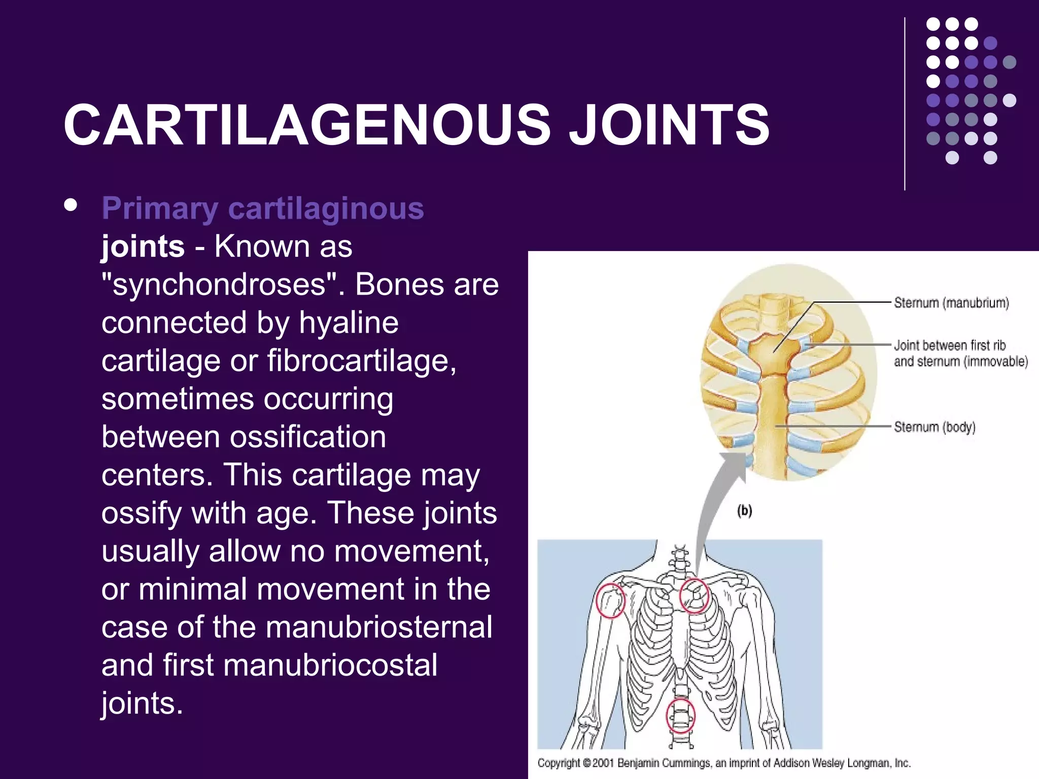 Classification of joints | PPT