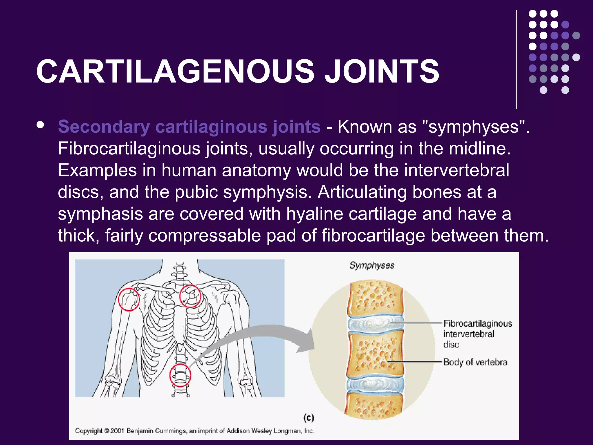 Classification of joints | PPT