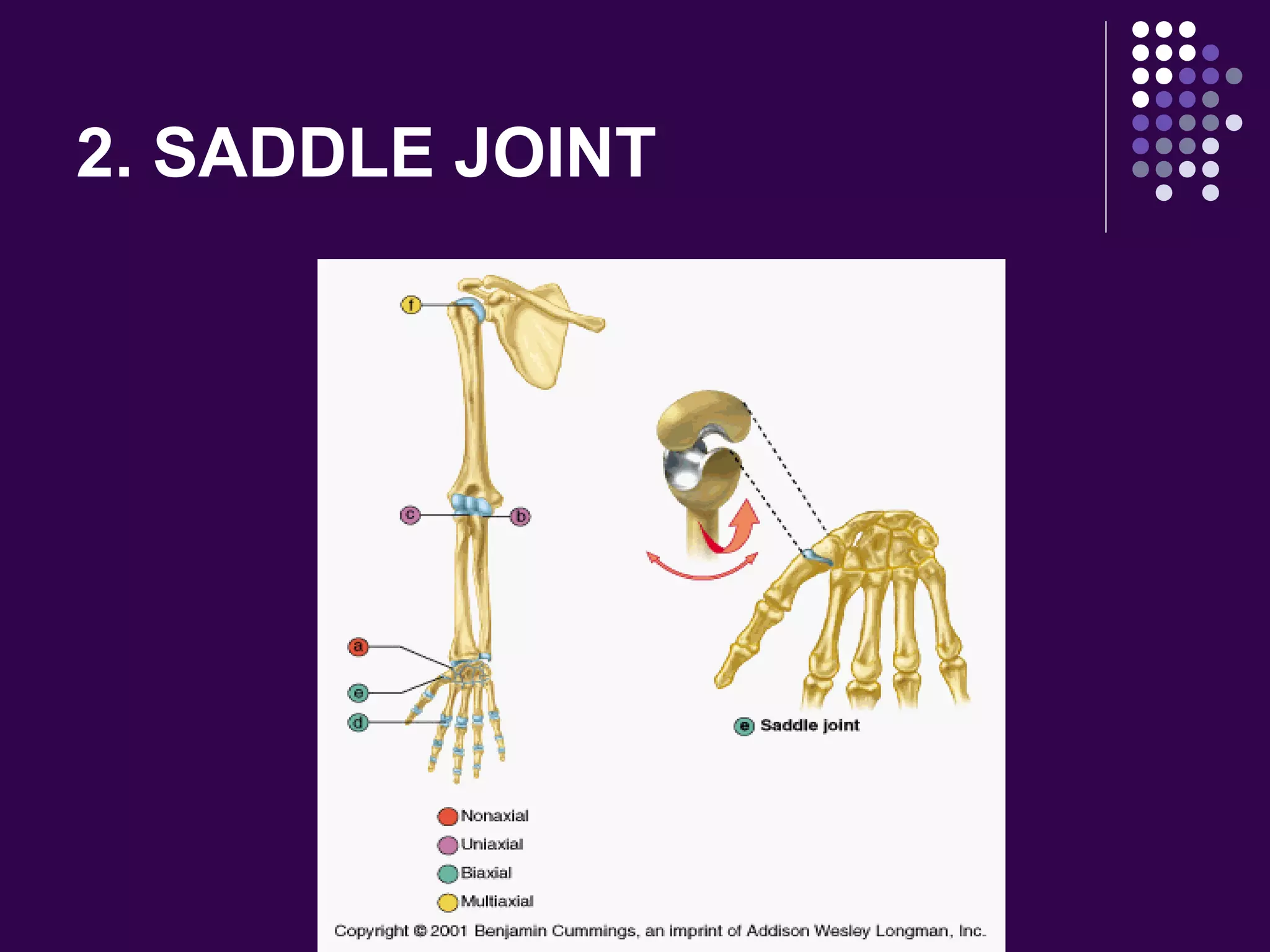 Classification of joints | PPT