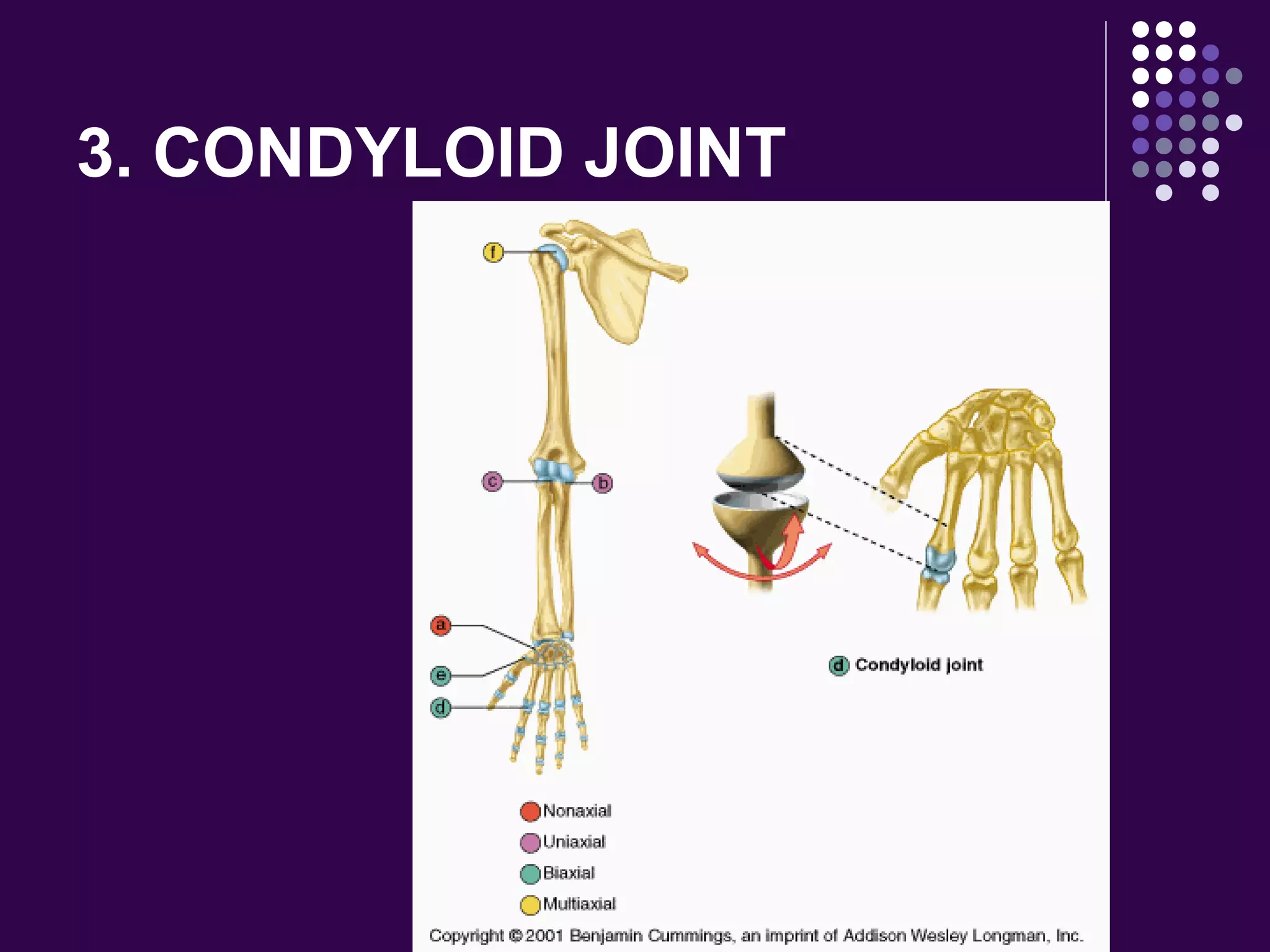 Classification of joints | PPT