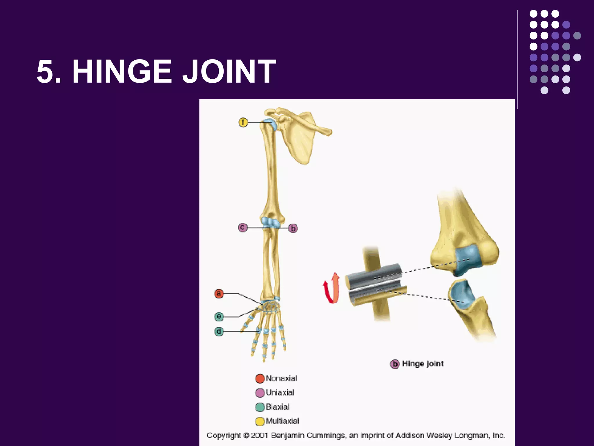 Classification of joints | PPT