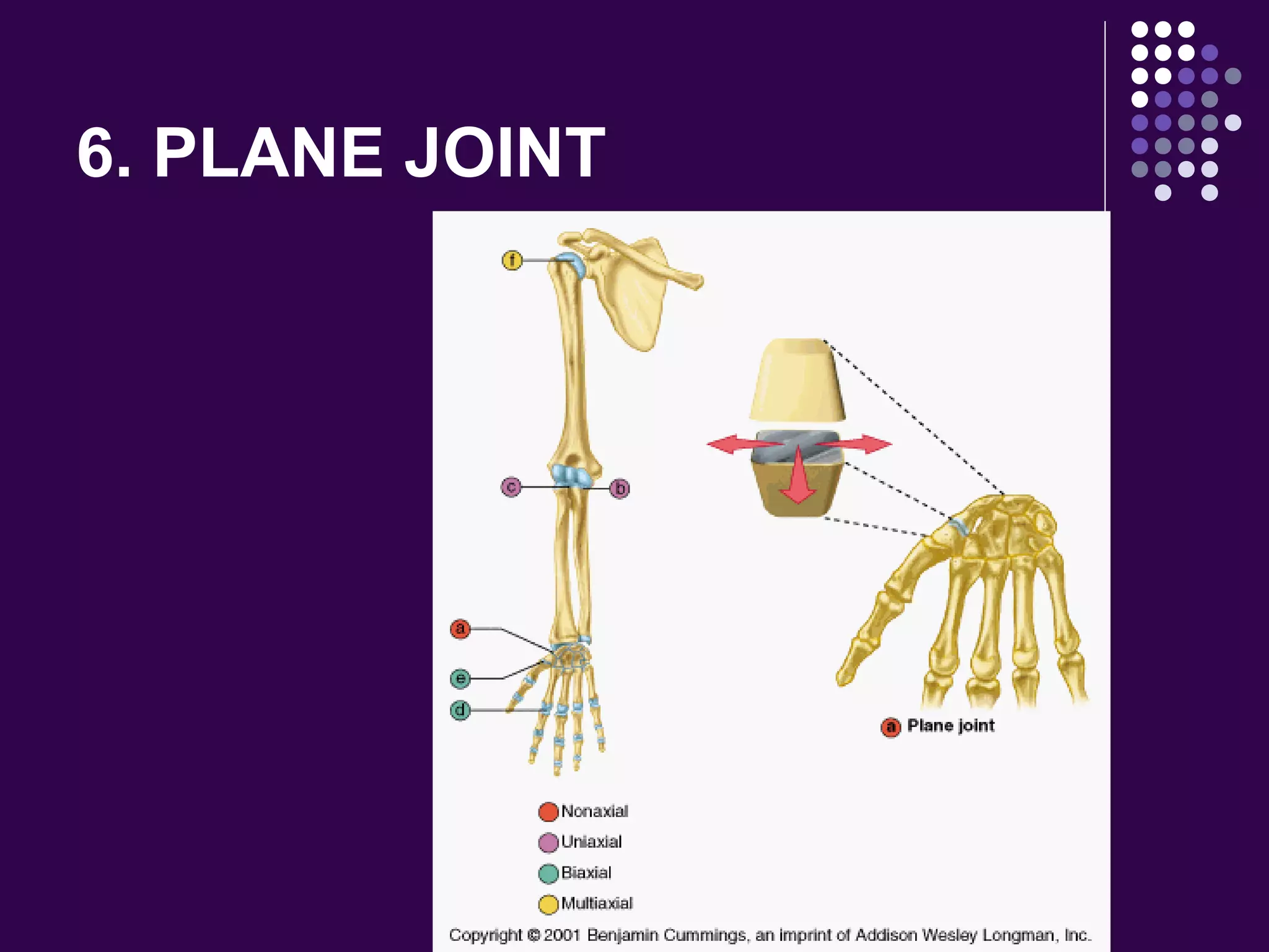 Classification of joints | PPT