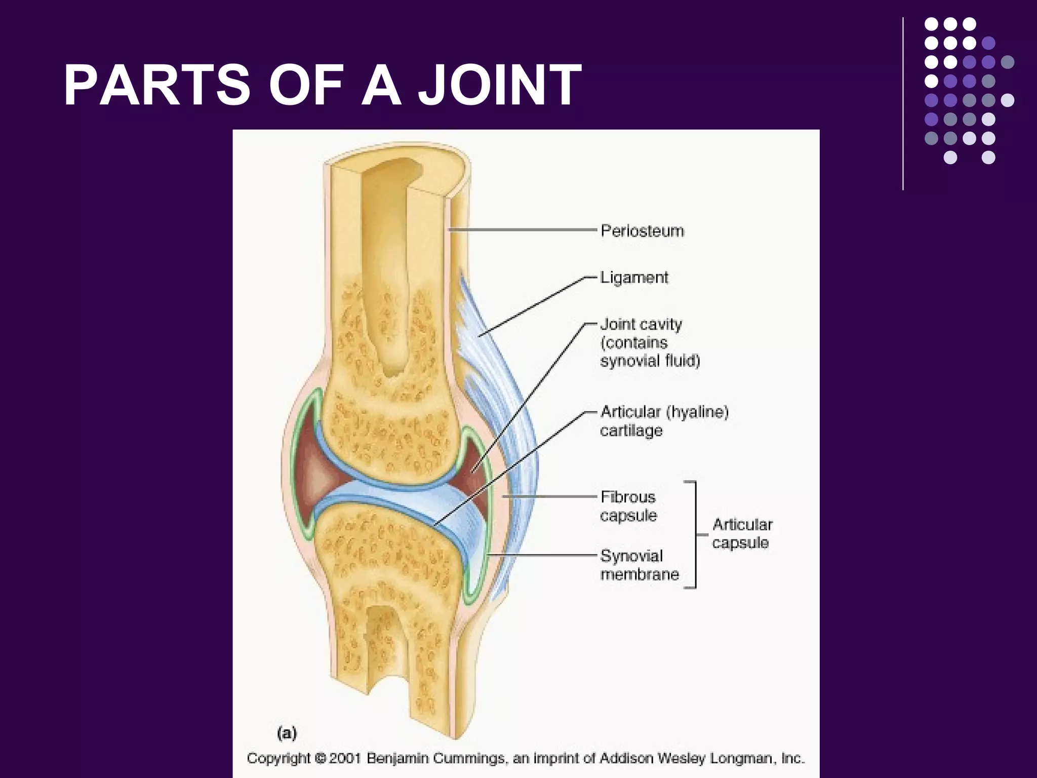Classification of joints | PPT