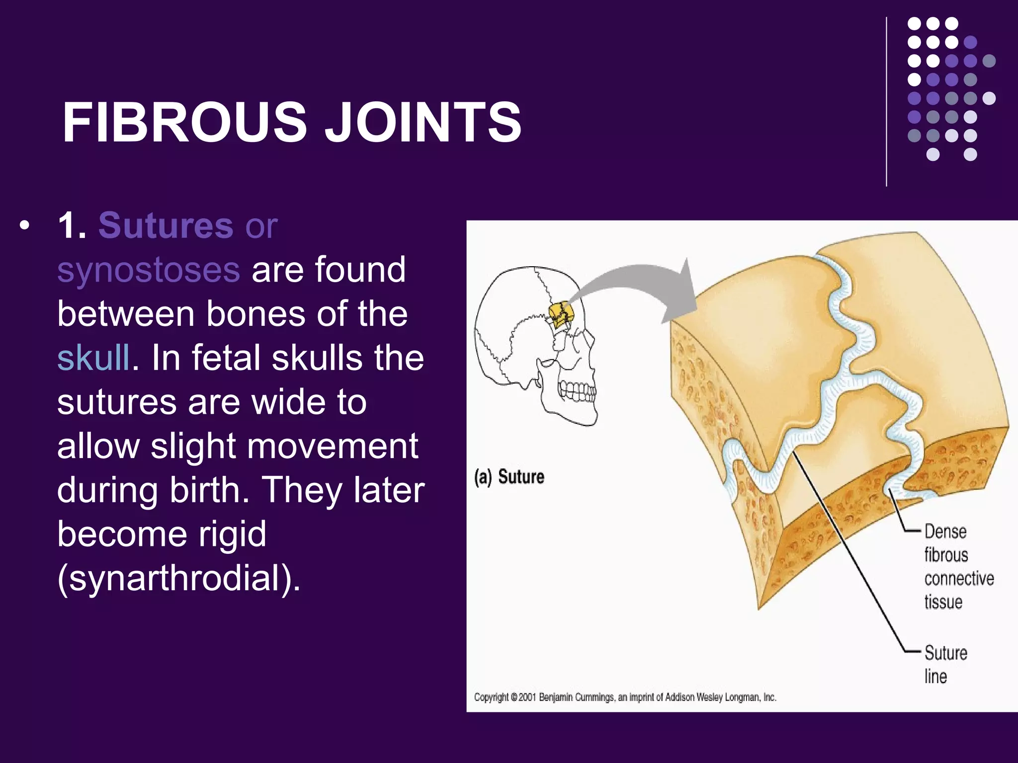 Classification of joints | PPT