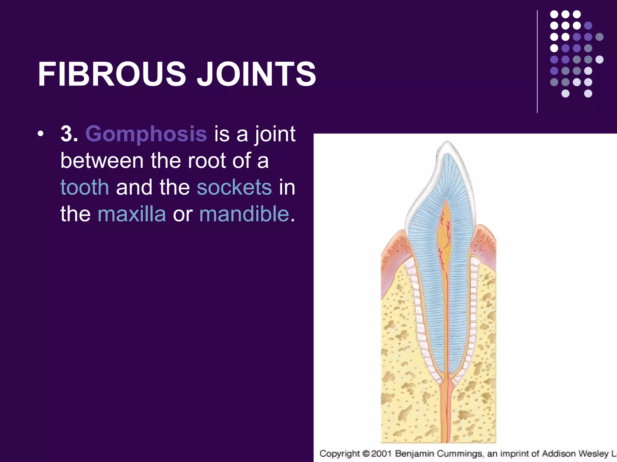 Classification of joints | PPT
