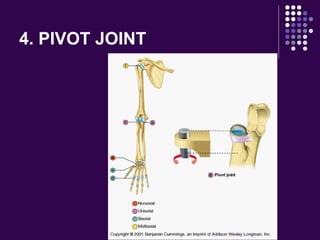 Classification of joints | PPT