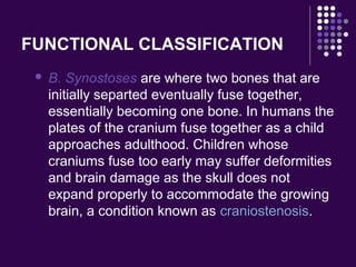 Classification of joints | PPT