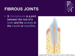 Classification of joints | PPT