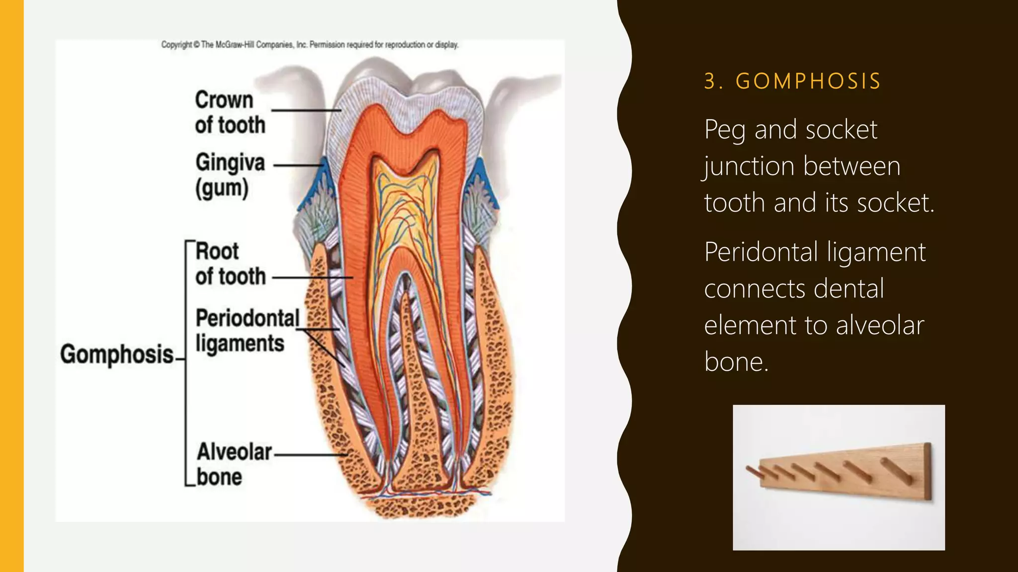 Classification of joints | PPTX