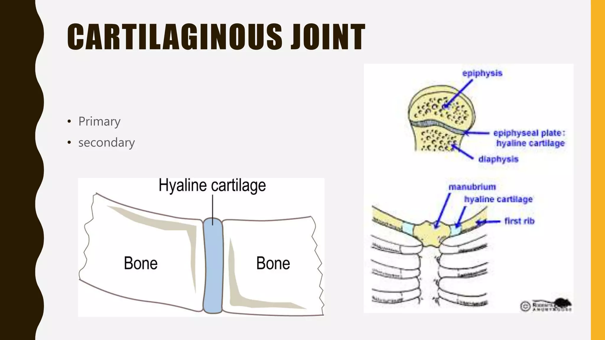 Classification of joints | PPTX