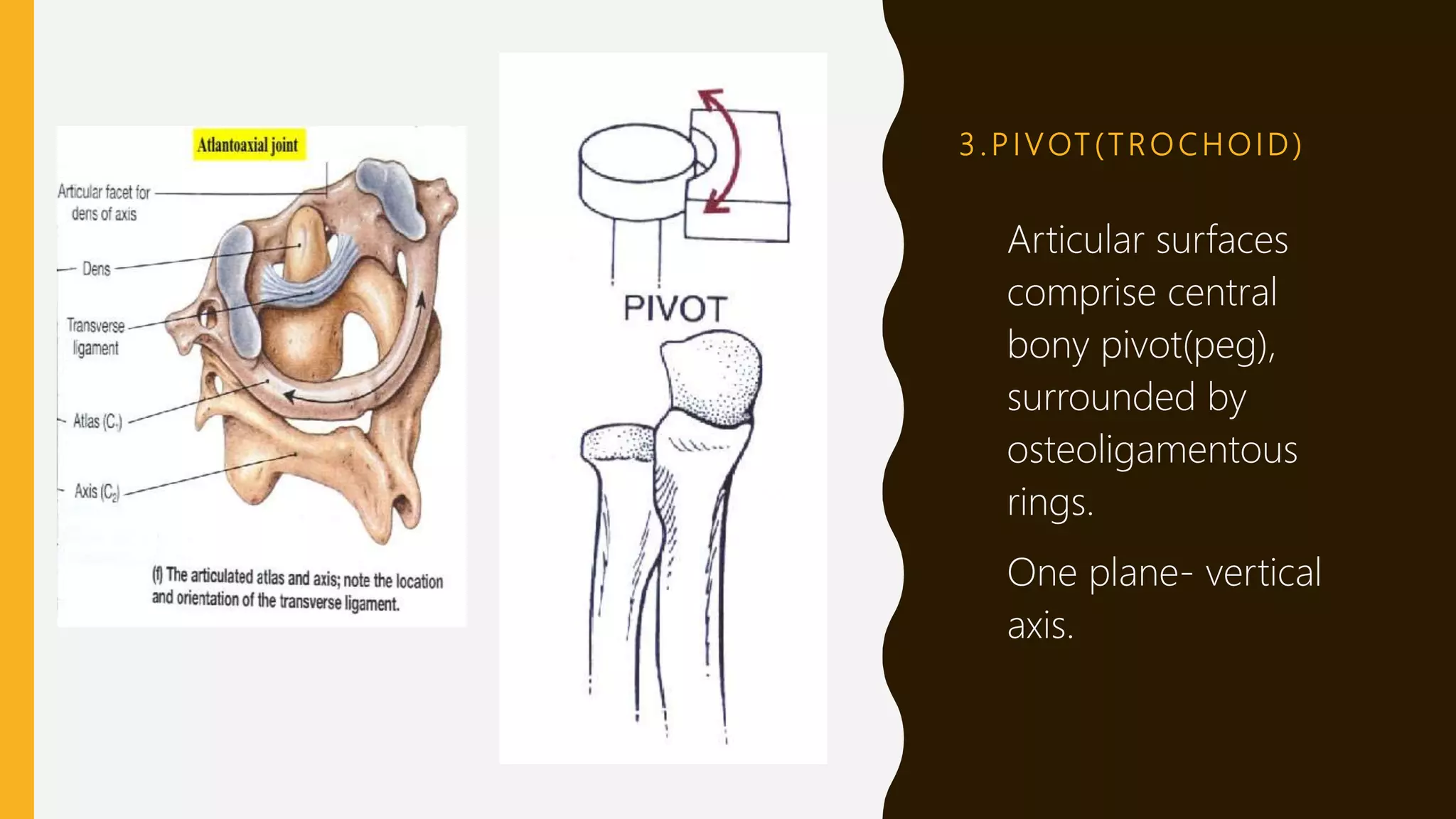 Classification of joints | PPTX