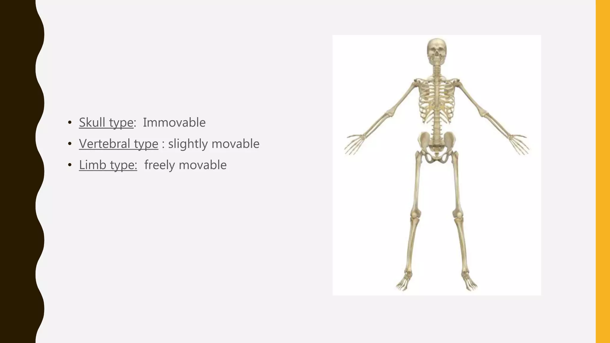 Classification of joints | PPTX