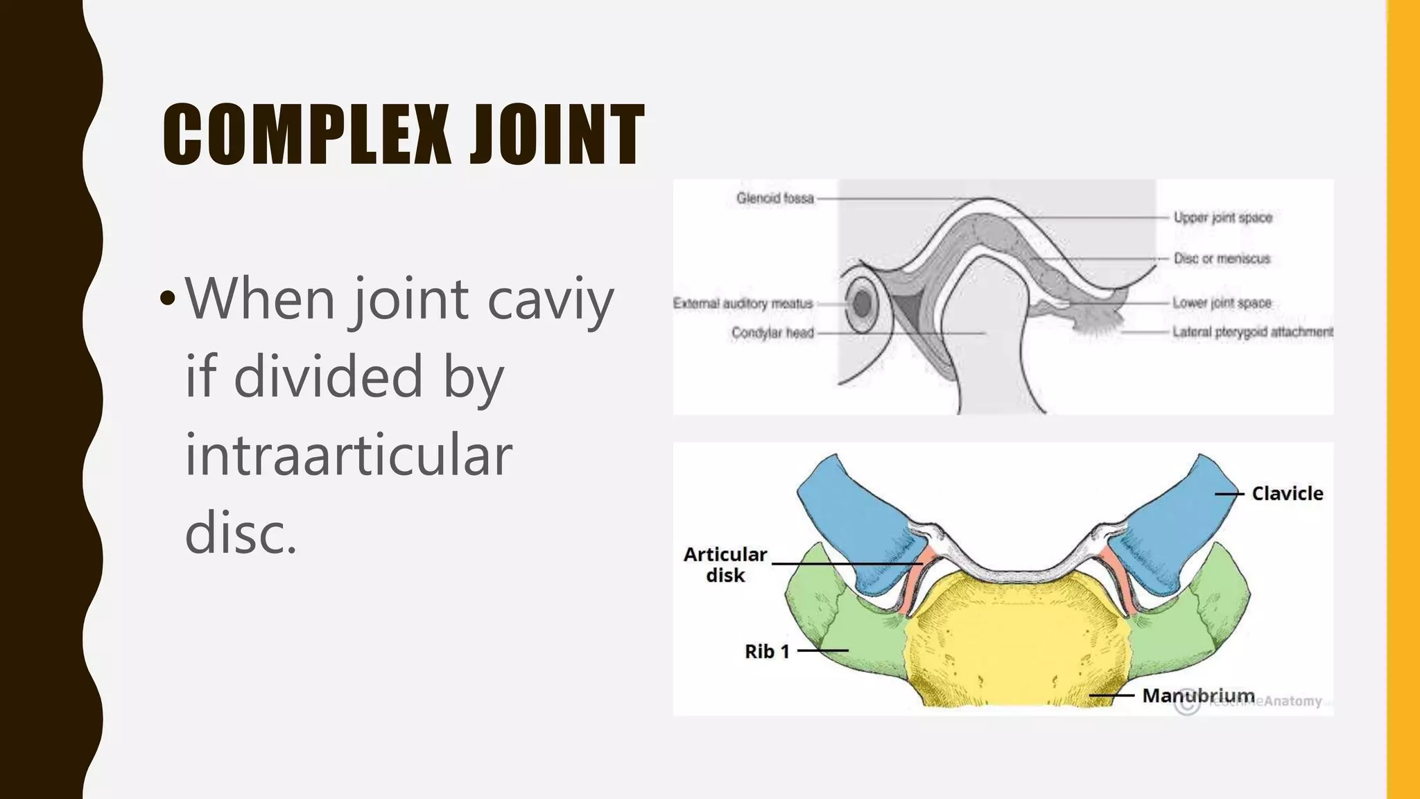 Classification of joints | PPTX