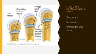 Classification of joints | PPTX