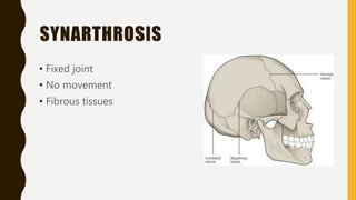 Classification of joints | PPTX