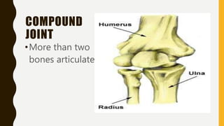 Classification of joints | PPTX