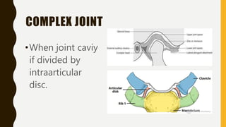 Classification of joints | PPTX