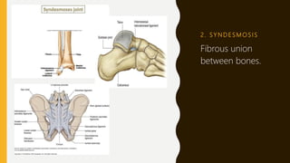 Classification of joints | PPTX