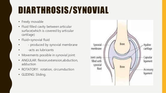 Classification of joints