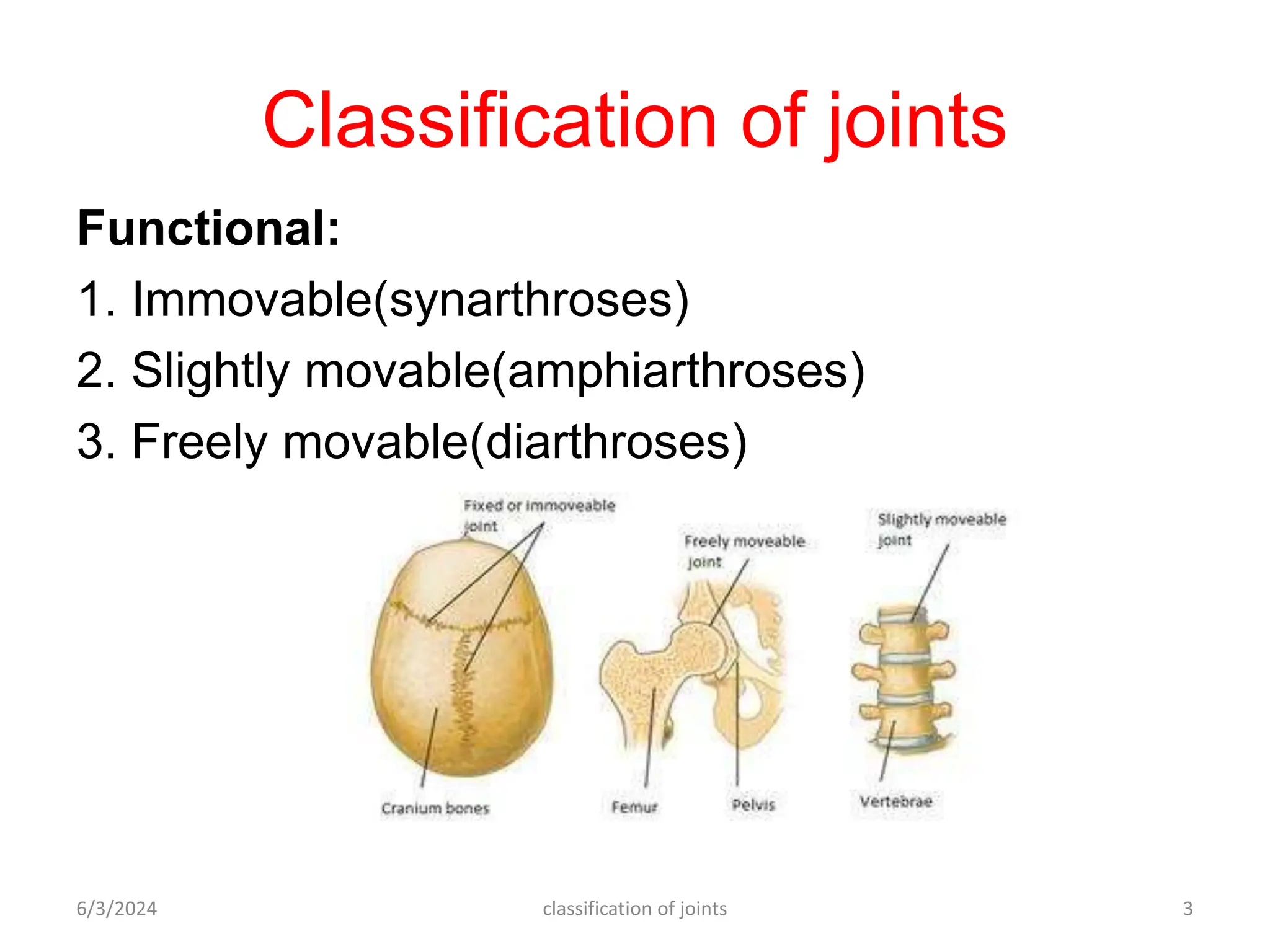 Classification of joints - general anatomy presentation | PPTX