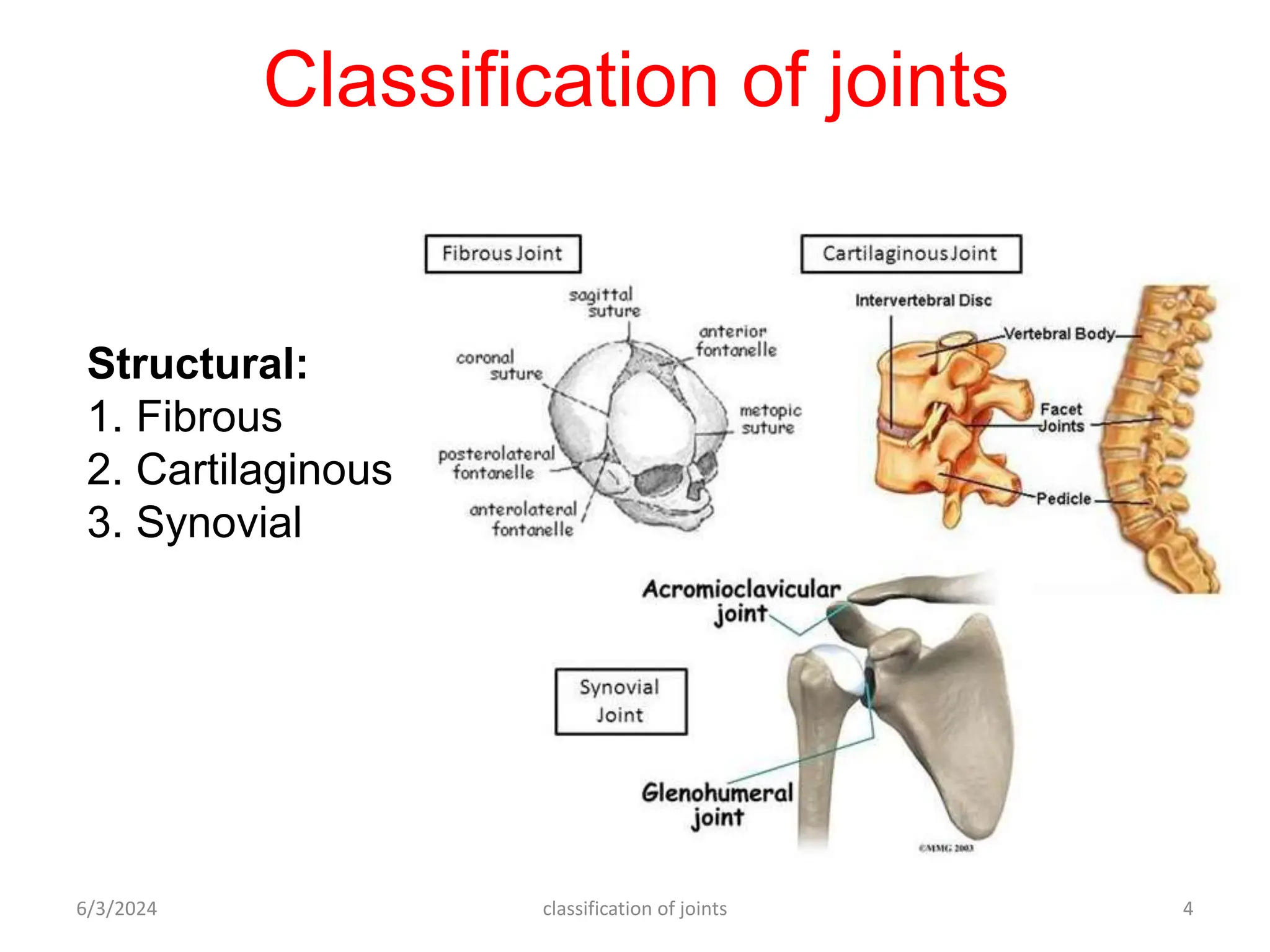 Classification of joints - general anatomy presentation | PPTX