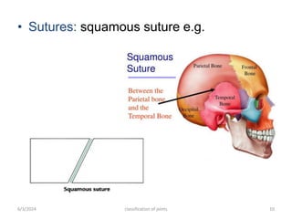 Classification of joints - general anatomy presentation | PPTX
