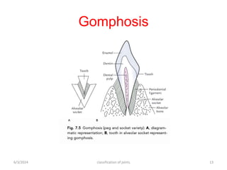 Classification of joints - general anatomy presentation | PPTX