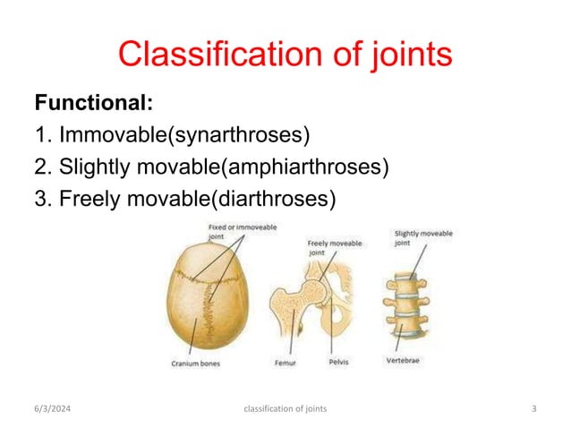 Classification of joints - general anatomy presentation | PPTX