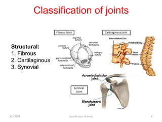 Classification of joints - general anatomy presentation | PPTX