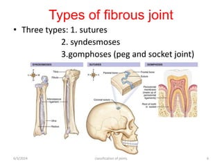 Classification of joints - general anatomy presentation | PPTX
