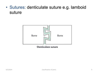 Classification of joints - general anatomy presentation | PPTX