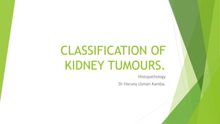 discuss the CLASSIFICATION OF KIDNEY TUMOURS.pptx
