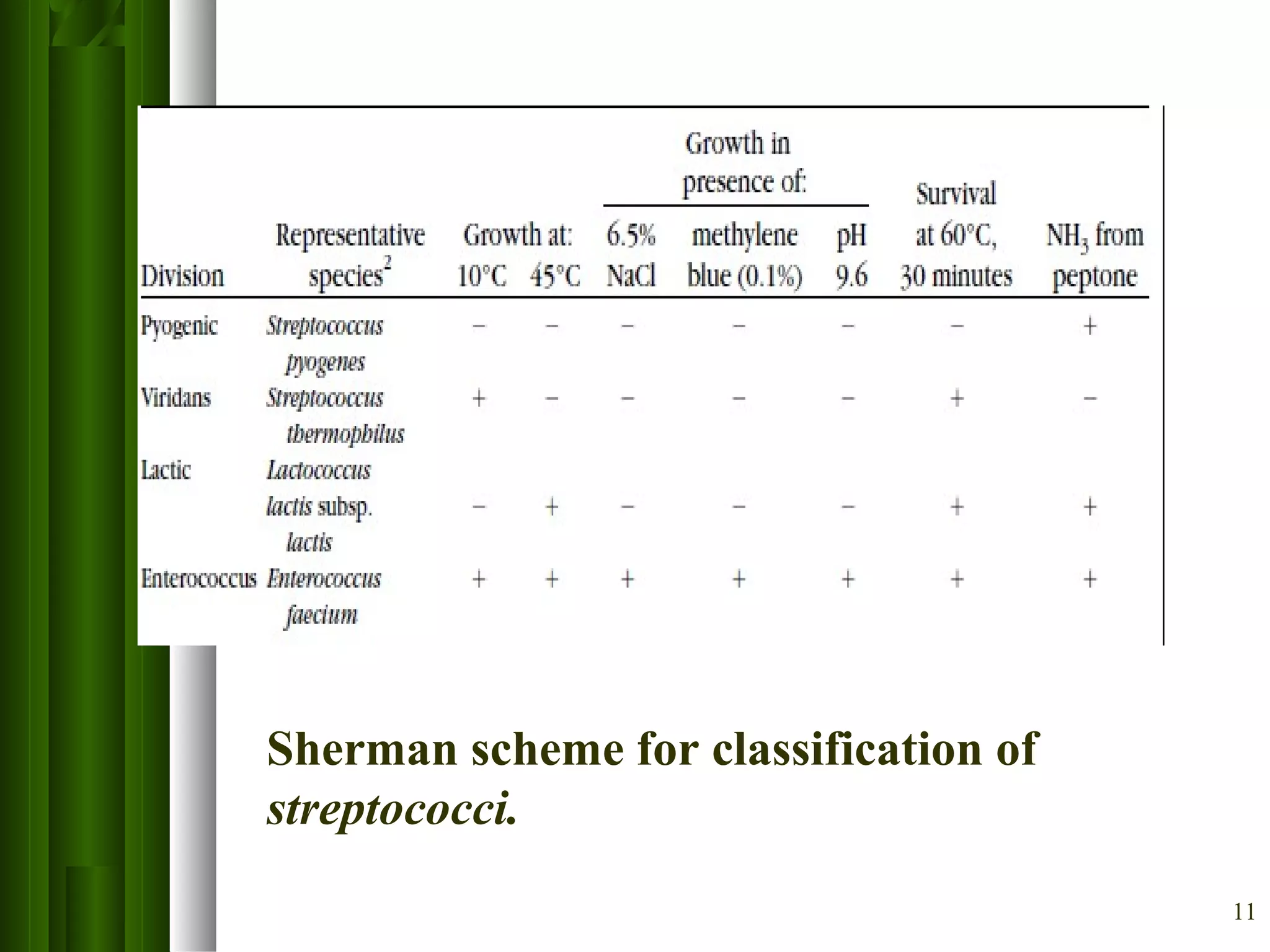 Classification of Lactic acid bacteria | PPT