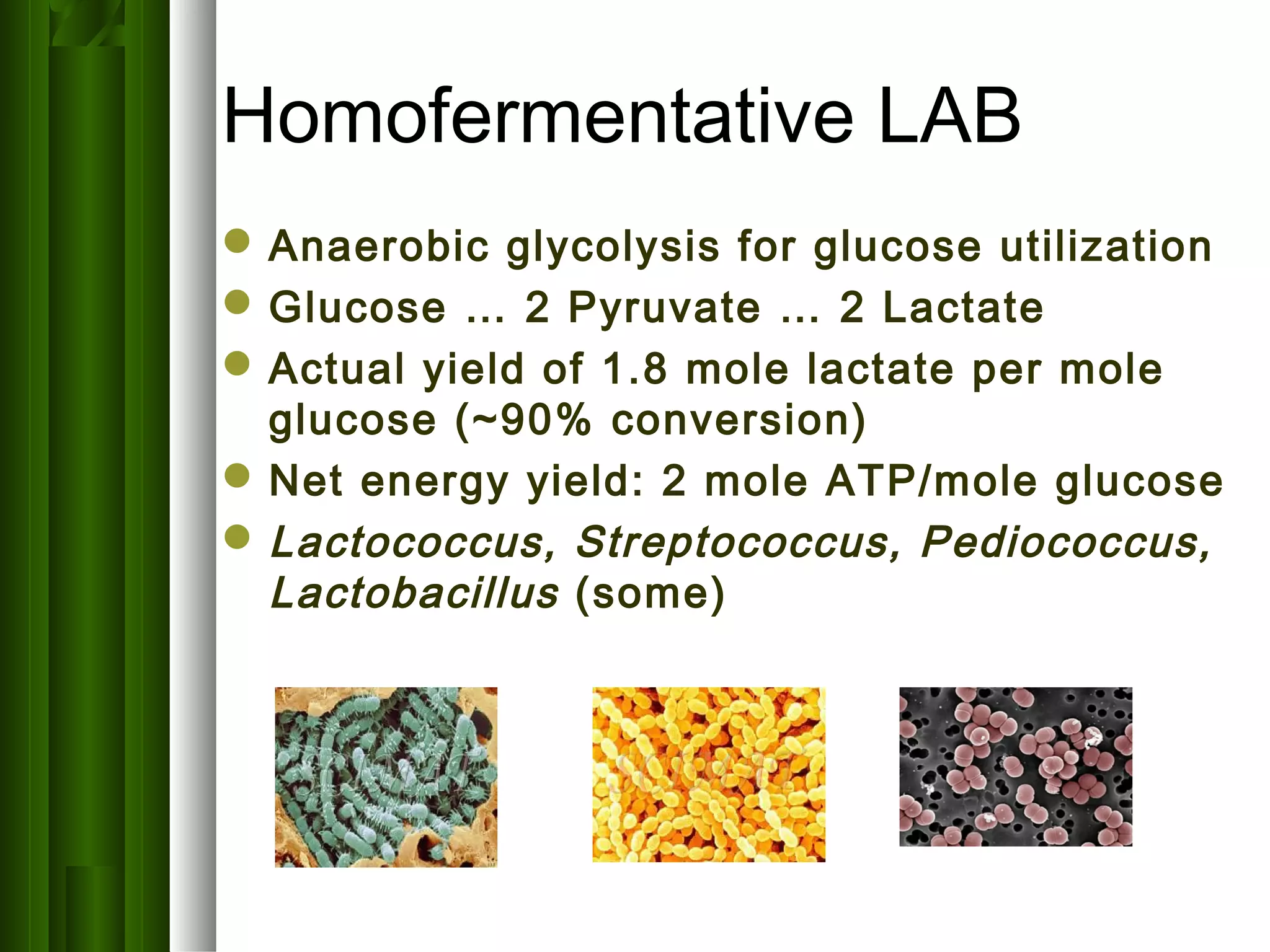 Classification of Lactic acid bacteria | PPT