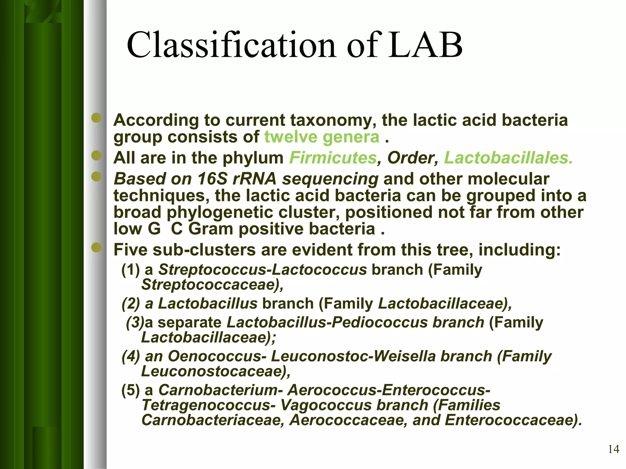 Classification of Lactic acid bacteria | PPT